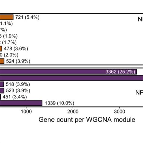 Weighted Gene Coexpression Network Analysis Wgcna Of The
