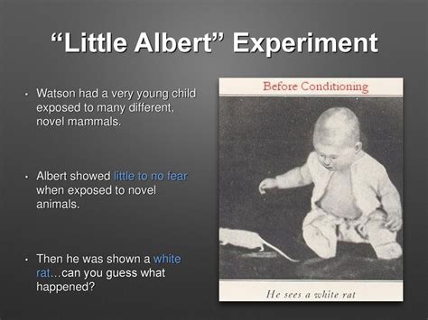 Classical Conditioning Little Albert
