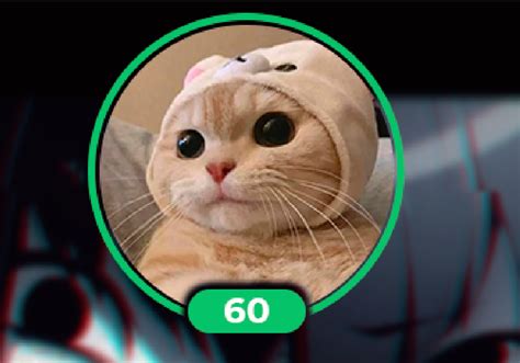 Python Прогресс бар на Pillow Stack Overflow на русском