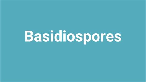 Basidiospores Meaning And Pronunciation Youtube
