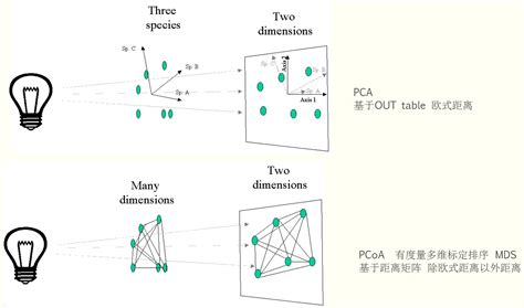 排序分析pca、pcoa、ca、nmds、rda、cca等区别与联系 组学大讲堂问答社区