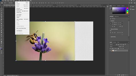 Ps 2020 Cant Deselect Adobe Community 11426026
