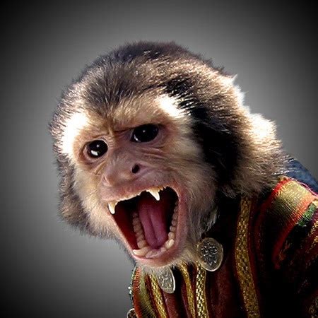 Monkey ELearning