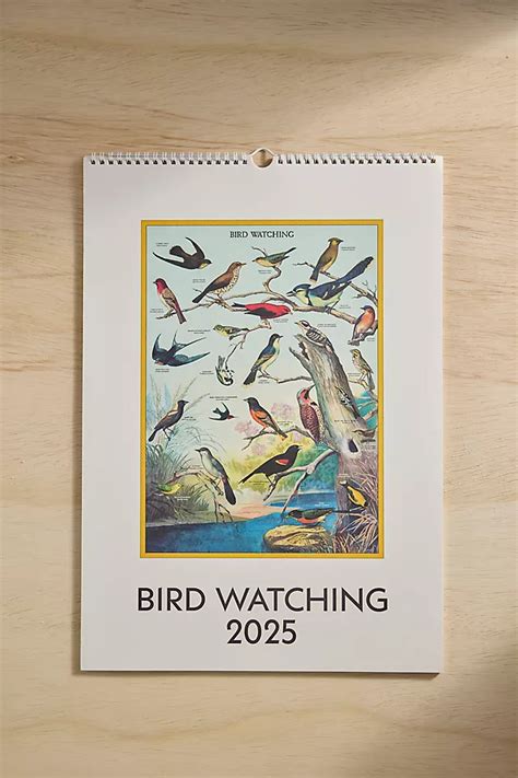 Bird Watching 2025 Calendar Anthroliving