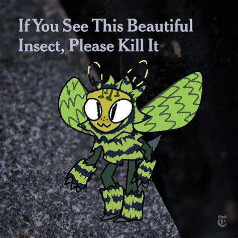 Bug By Sweetspake2 On Deviantart