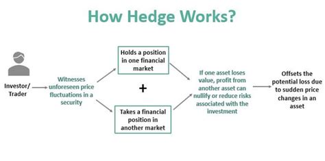 What Is Hedging And What Is Its Role Ebc Financial Group