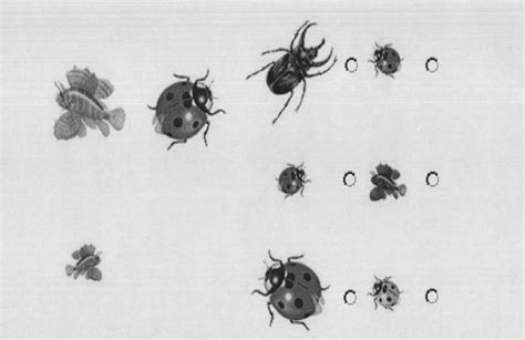 Test System And Method Of Stimulus Information Cognition Ability Value Eureka Patsnap