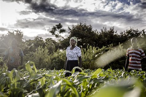 Why We Need To Tackle Gender Inequality In Agrifood Systems World