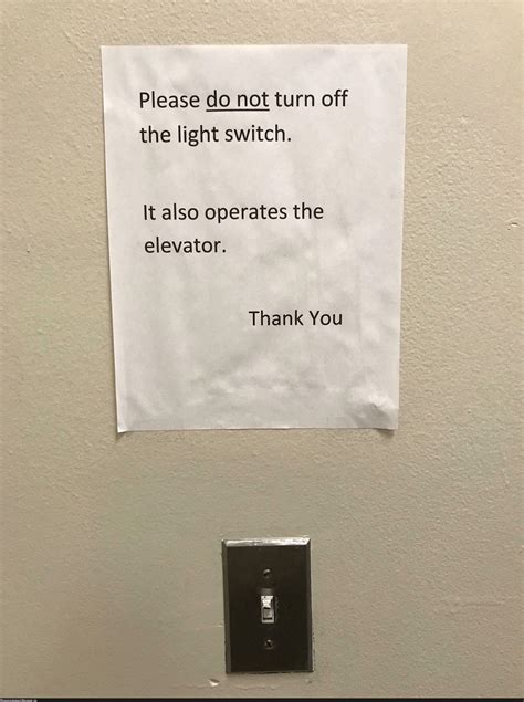 Birthexecutedsuccessfully ·