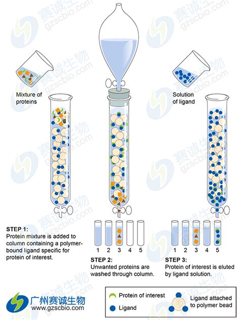 Figure的制作软件 技术专题 停用 广州赛诚生物科技有限公司 服务于您的核心利益！