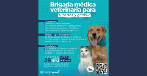 Jornada De Vacunación Y Desparasitación Para Perros Y Gatos En Bogotá