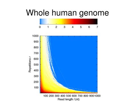 ppt genomic repeat visualisation using suffix arrays powerpoint