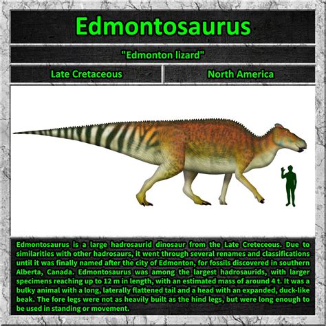 Edmontosaurus By Unexpecteddinolesson On Deviantart