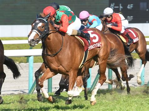 21年フィリーズレビュー覇者シゲルピンクルビーが競走馬登録を抹消 競馬ニュース