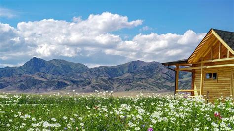 初探生成式与判别式的联系 知乎