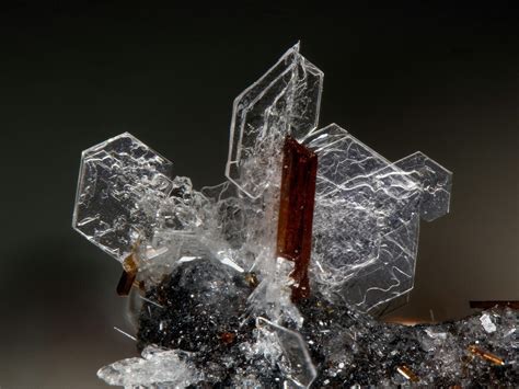 Mineralatlas Lexikon Alpha Tridymite English Version