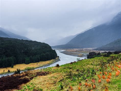 The Haast Highway From Isthmus To Haast Pass Blog New Zealand Trip