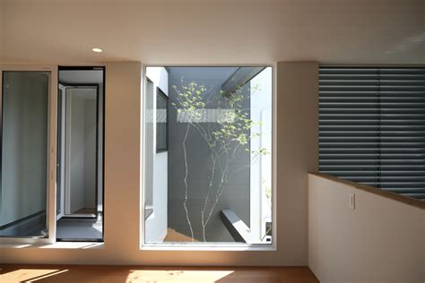 Fraxinus Lanuginosa The Roots Design Studio