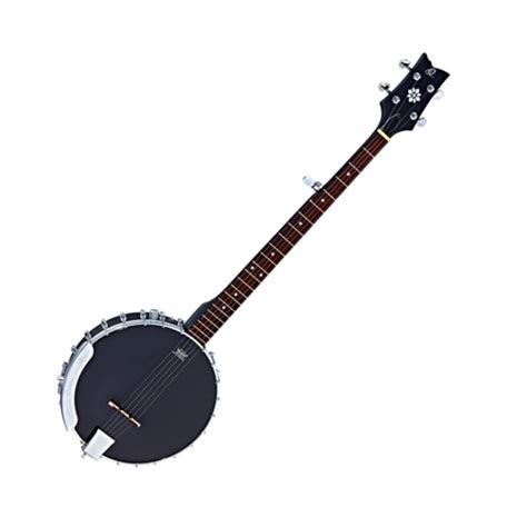 African Banjo