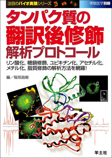 実験医学別冊 注目のバイオ実験シリーズ：タンパク質の翻訳後修飾解析プロトコール〜リン酸化，糖鎖修飾，ユビキチン化，アセチル化，メチル化，脂質