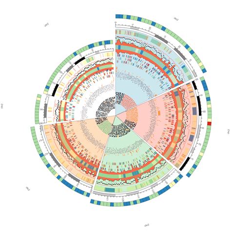 Circos Tutorials 2d Data Tracks Putting It All Together Circos Circular Genome Data