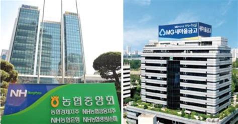 농협 중앙회장·새마을금고 회장 ‘직선제 선거 후끈