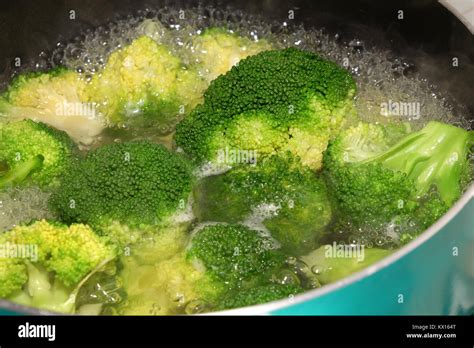 Broccoli On Hot Tub At Lawrence Burgess Blog