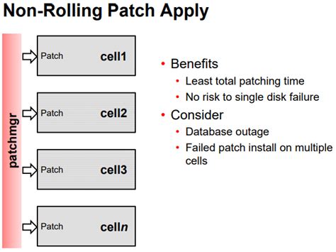 Oracle Exadata Patching Easy Way Unirac Technologies Oracle DBA