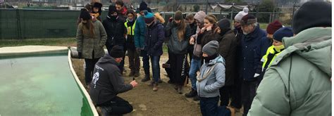 Mantracking Basics Predators Group