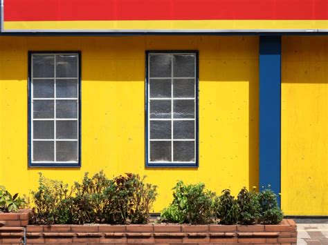 「黄色」が人に与える印象は？ どんな場面で効果を発揮する？ 色彩のプロが解説 オトナンサー