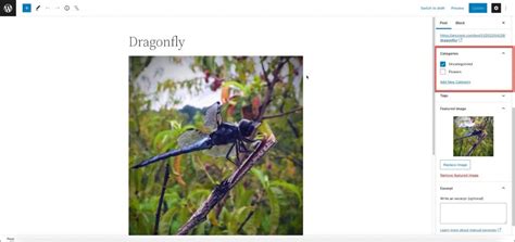 How To Create A Photo Gallery Using The Query Loop Block Inmotion Hosting