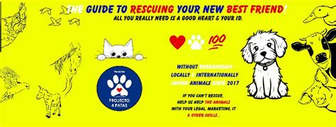 Associação Projecto Java Added Associação Projecto Java