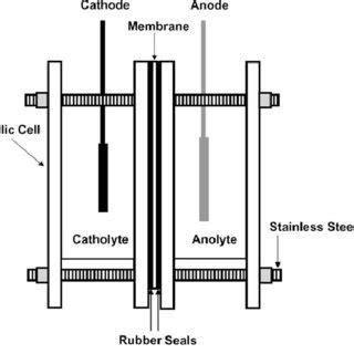 Schematic Of The RED Cell Download Scientific Diagram