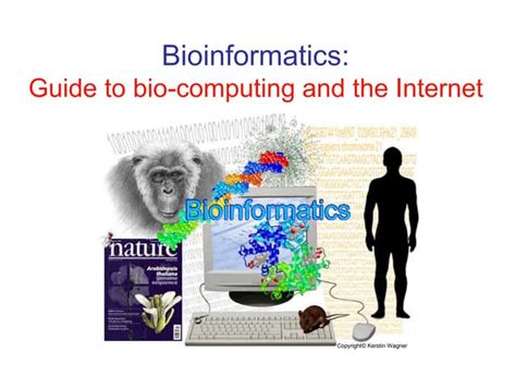 Bioinformatics1chenspptx Databases Computer Software And