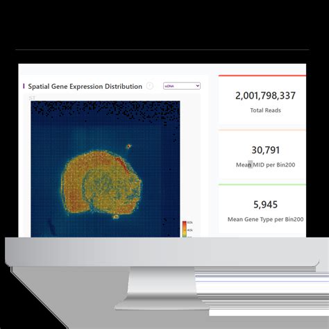 Stereo Seq Spatial Transcriptomics — Admera Health