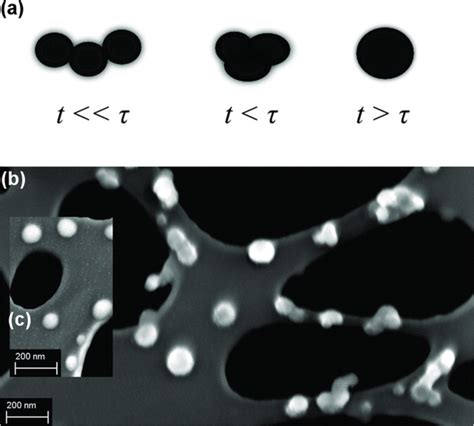 A Schematic Drawing Showing The Relation Of The Degree Of Download Scientific Diagram