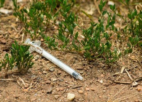 Hypodermic Syringe On The Ground Copyright Free Photo By M Vorel