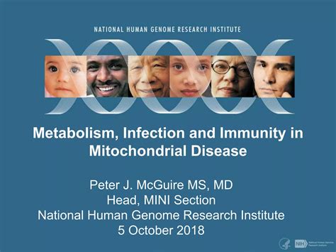 Mitochondrial Disease And Immune Systems Pptx