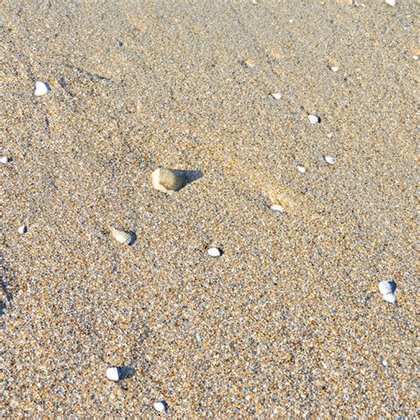 Premium Ai Image Summer Sea Sand Texture Seamless Sun