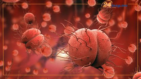 Менингококкт халдвар буюу “цахилгаан менингит” гэж юу вэ