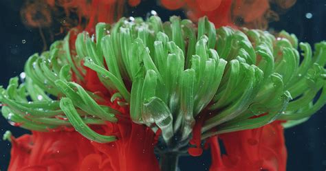 Lg X Fosters And Partners On Behance