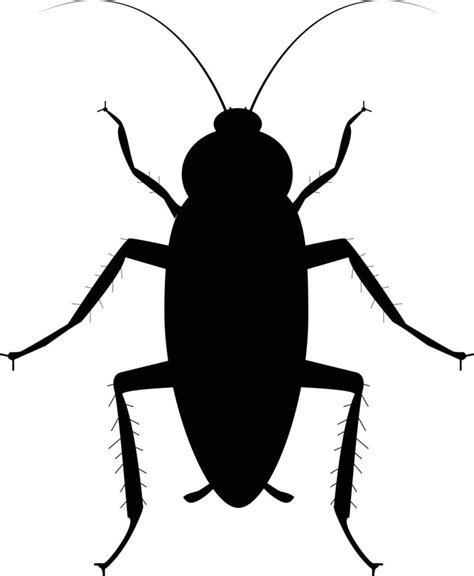 Cockroach Bug Icon On White Background Cockroach Sign Flat Style Bug Spray And Insecticide