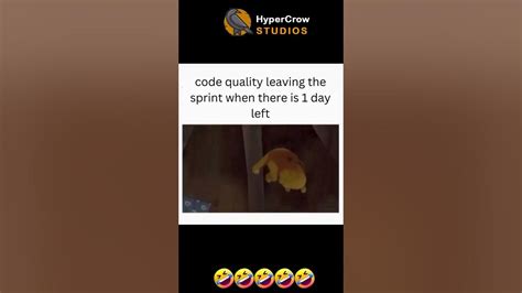 D D Softwareengineer Programming Programminghumor