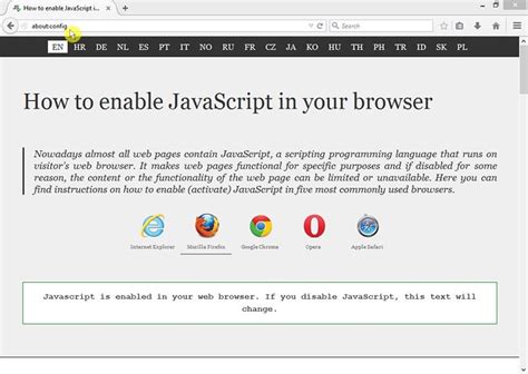 Как включить Javascript в вашем веб браузере и зачем это нужно