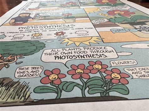 Photosynthesis Comic Strip Examples