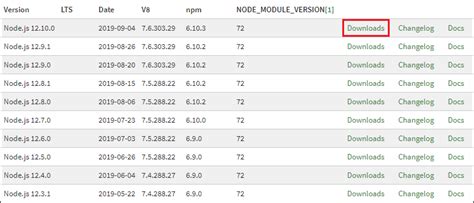 Custom Node Js Version Everleap