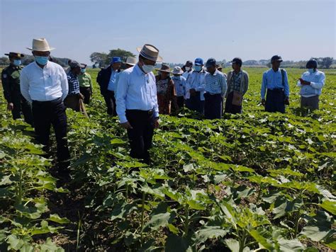 ဧရာဝတီတိုင်းဒေသကြီးအစိုးရအဖွဲ့ ဝန်ကြီးချုပ် ဦးတင်မောင်ဝင်းနှင့် အဖွဲ့ဝင