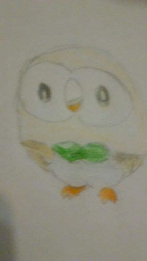 Rowlet Evolution Line Pokémon Amino