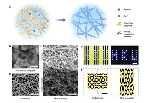 Hybrid Assembly Of Polymeric Nanofiber Network For Robust And Electronically Conductive