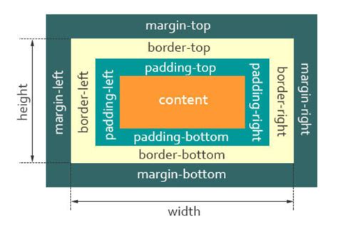 说说你对盒子模型的理解 林恒 博客园